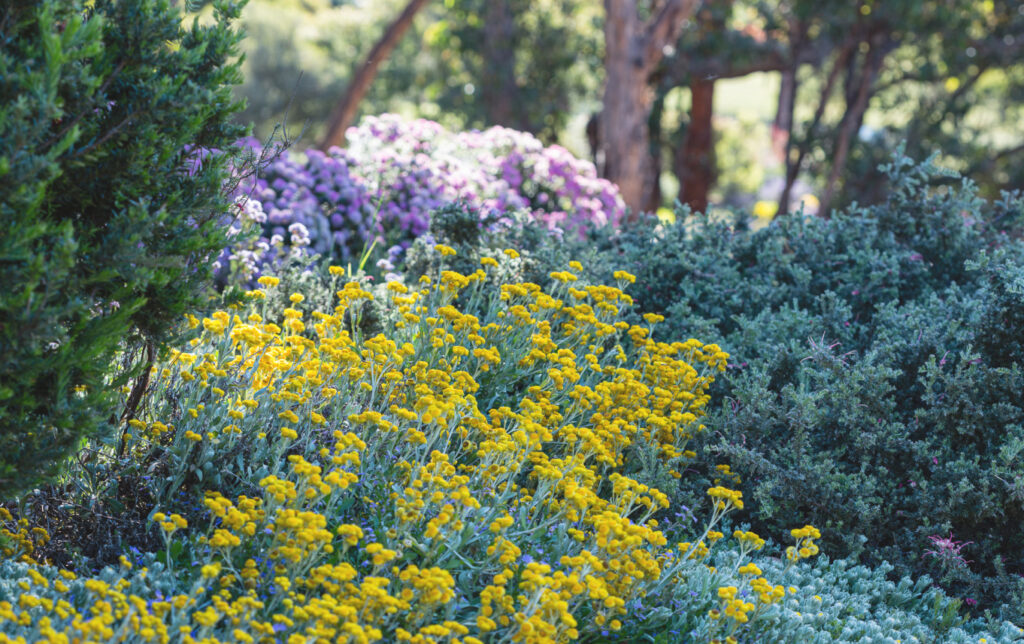 Trawalla Foundation - Working with exceptional individuals and ...