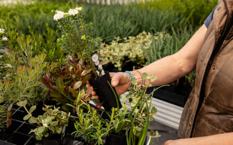 Trawalla Foundation - Working with exceptional individuals and ...